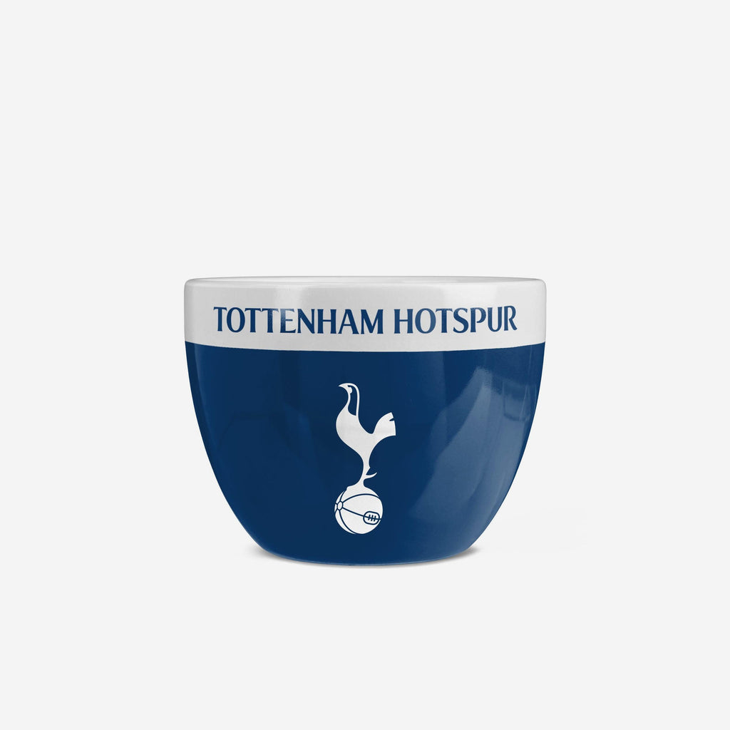 Tottenham Hotspur Cappuccino Mug FOCO | UK