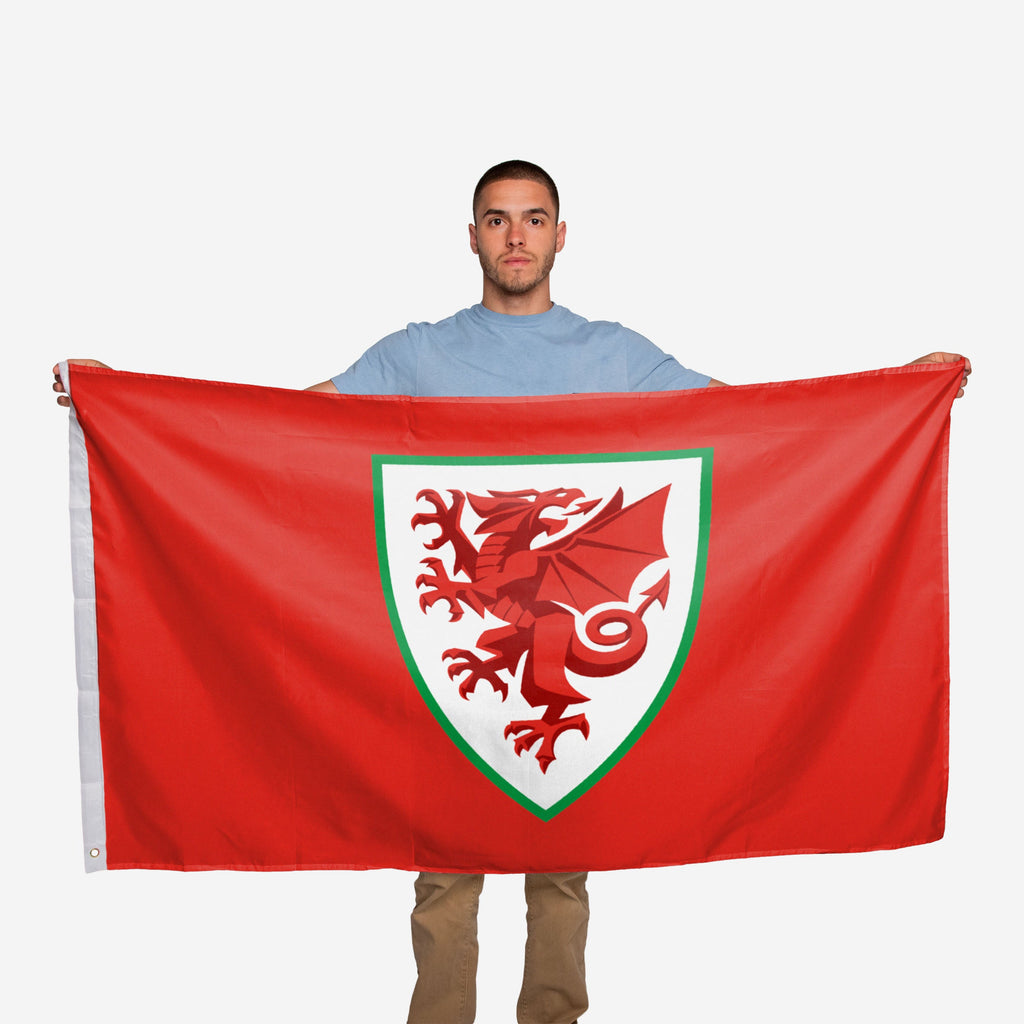 Wales Core Crest Flag FOCO | UK